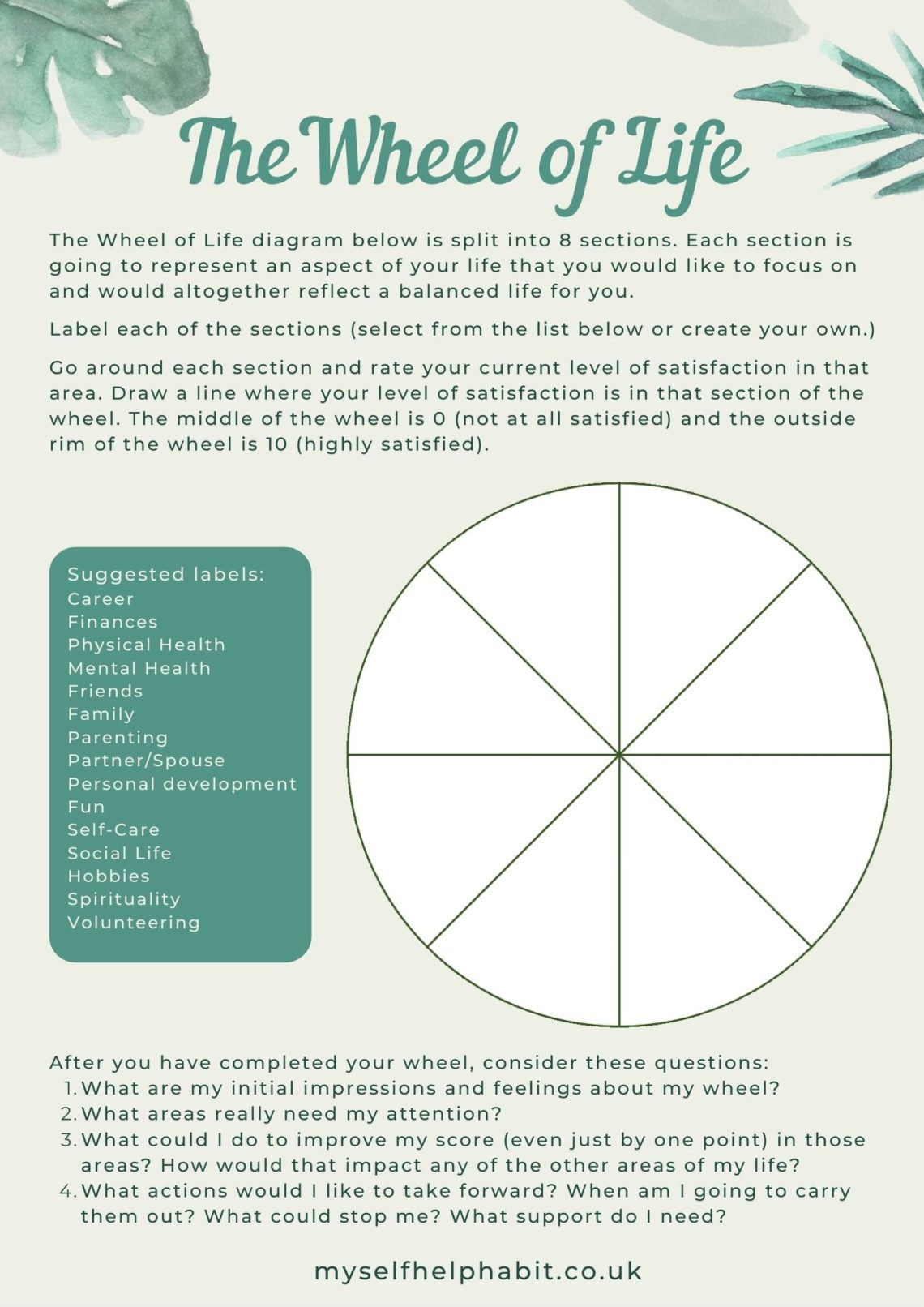 Coach life wheel - wisconsinfopt